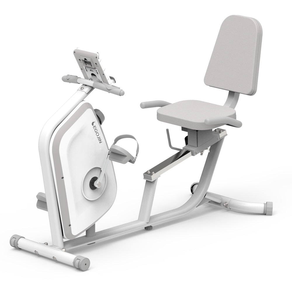 906R Vertical Drum Recumbent Indoor Bike – Avenue K